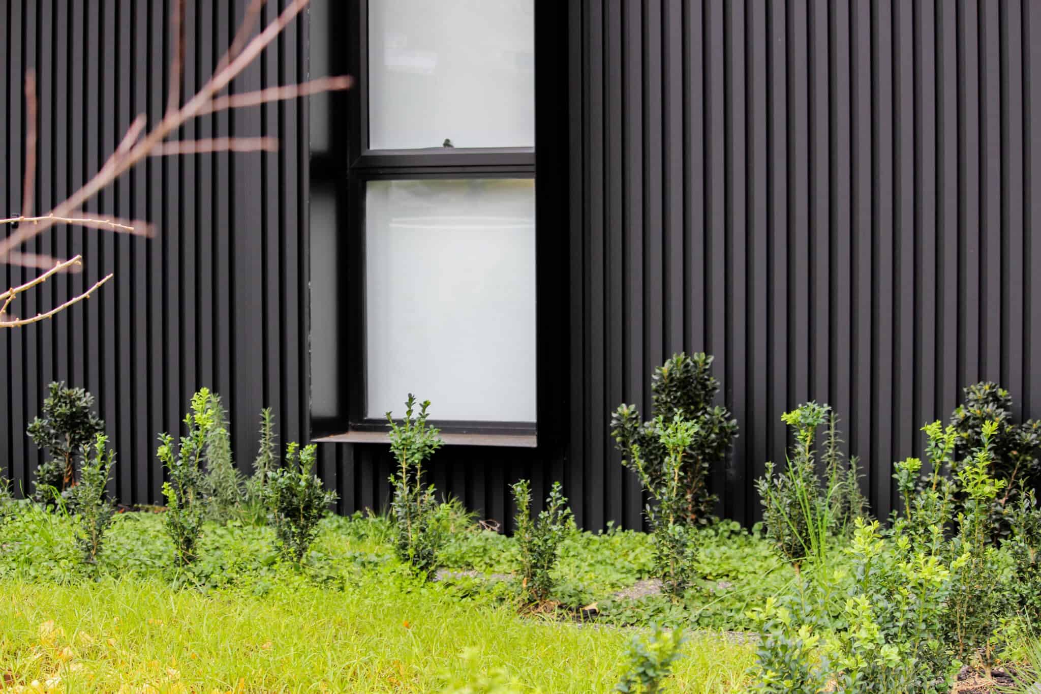 Colorspan launches a new wall cladding profile Batten-Clad 130 - Colorspan